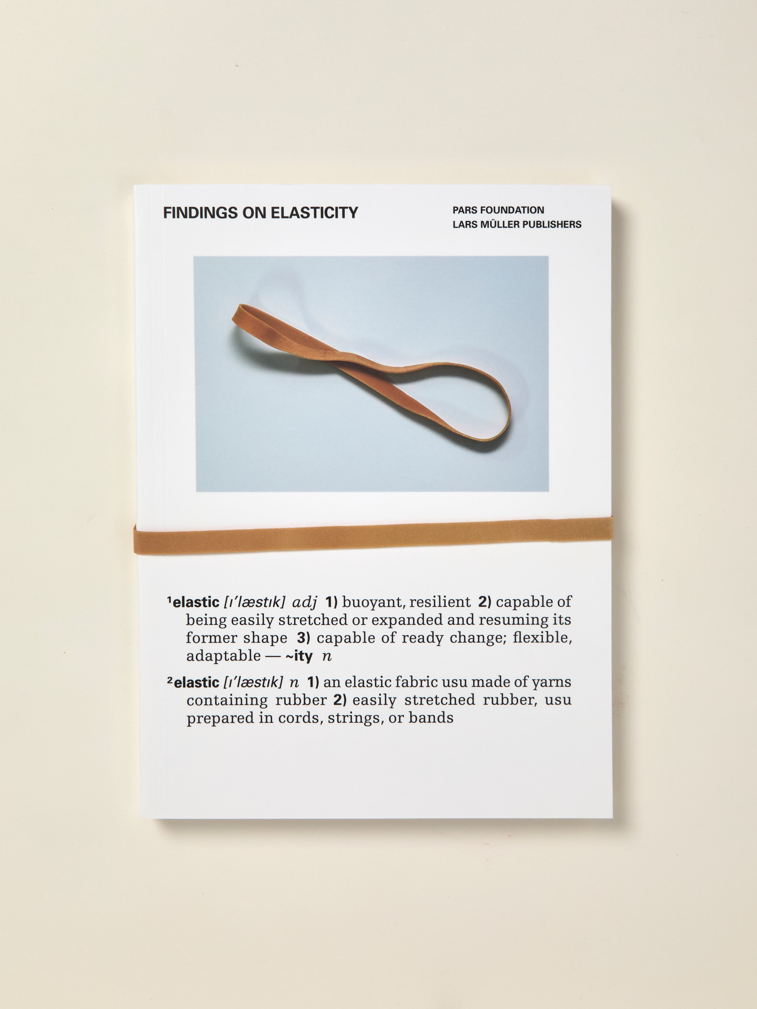Findings on Elasticity — William Stout Architectural Books